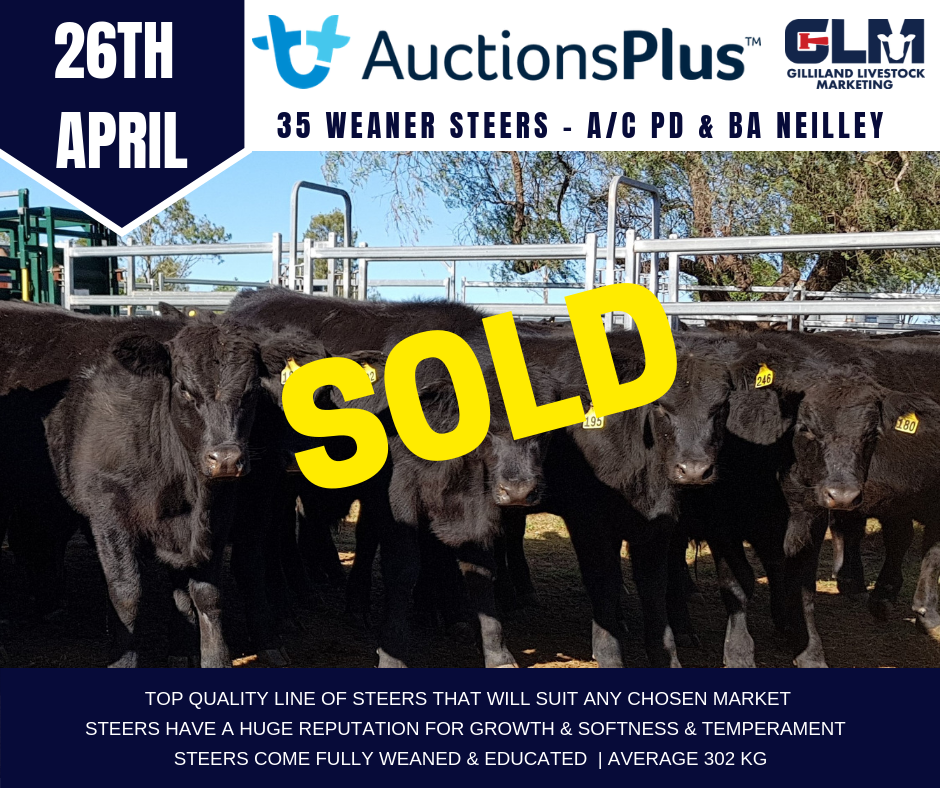 AuctionsPlus | Gilliland Livestock Marketing | Livestock & Property Agents
